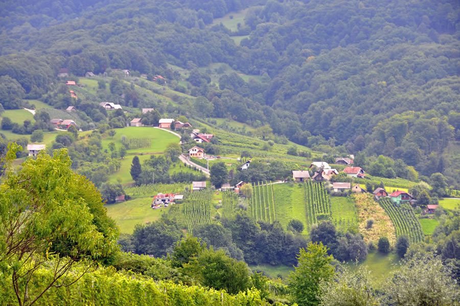 Dolž - Krajevne skupnosti